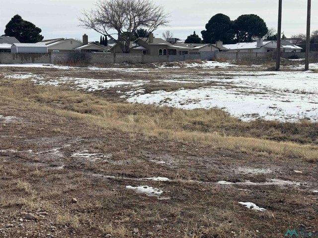 1558 Elk Dr, Carlsbad, NM 88220