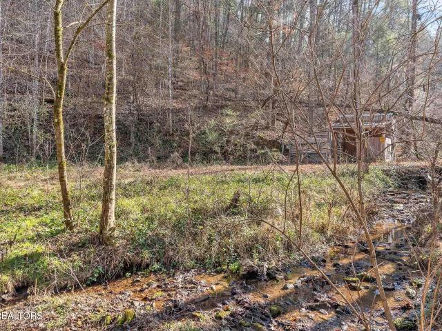 1559 Spring Creek Rd