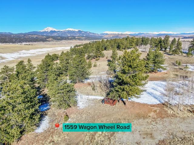 1559 Wagon Wheel Rd, Hartsel, CO 80449 | MLS #S1056