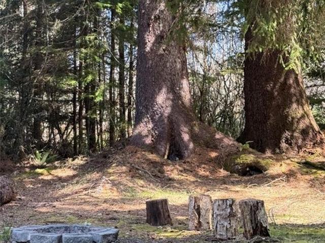 15500 Birch St Lot 62, Long Beach, WA 98631