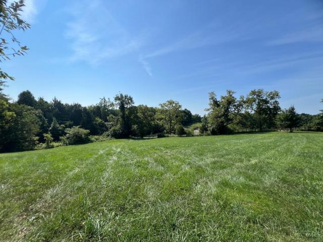 15501 Dewitt Road