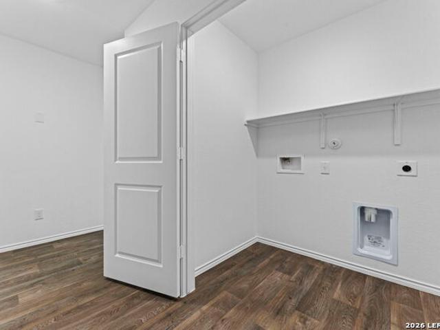 15507 Mint Patch Meadow