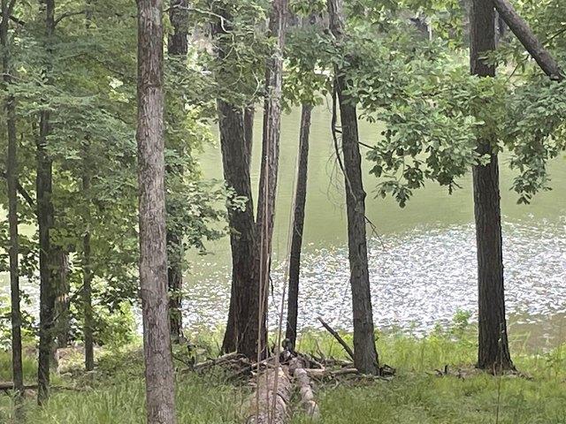 1550 Dogwood Dr, Greensboro, GA 30642