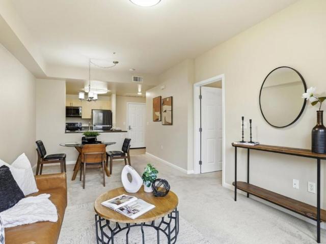 1550 Technology Drive 4106