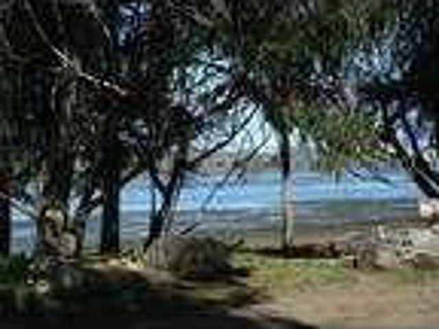 $1550 / 1br 800ftÂ² Incredible bay views