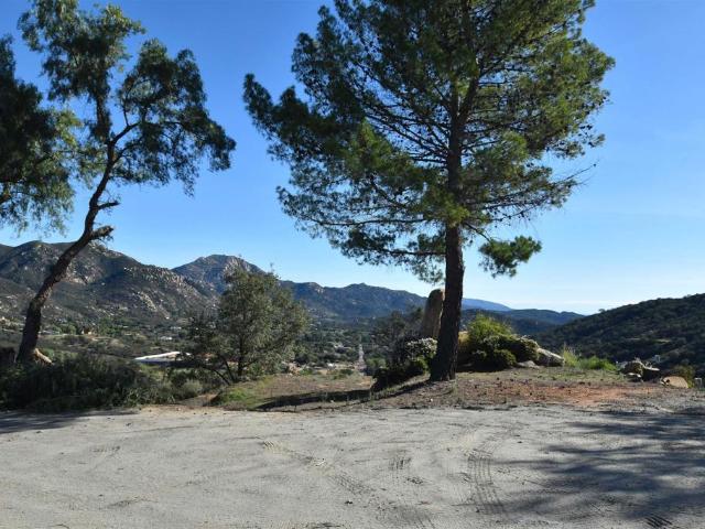 15519 Skyline Truck Trail, Jamul, CA 91935 | MLS #PTP2600