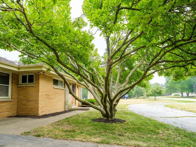 15520 Carpenter Rd