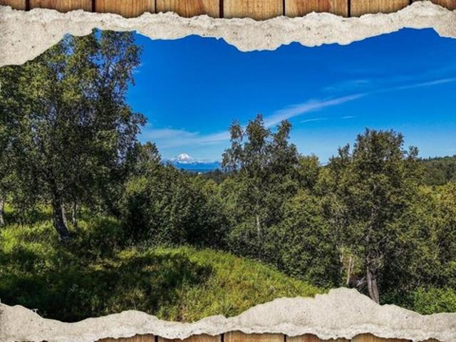 15522 Tovarish Rd, Ninilchik, AK 99639