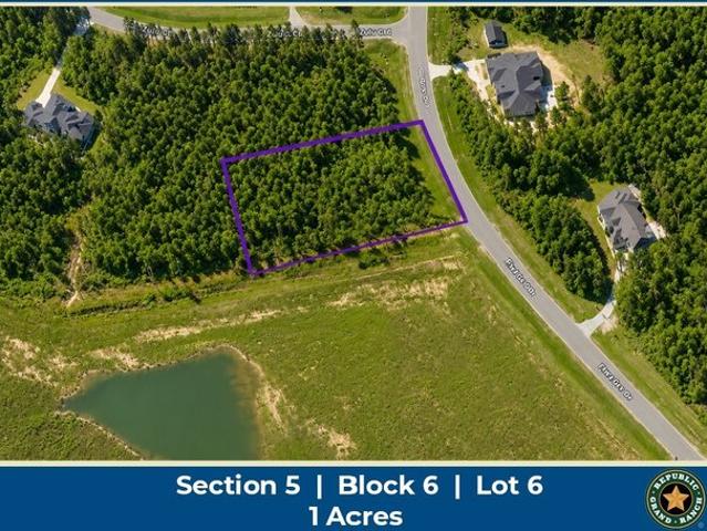 15525 Forest Grove Dr, Willis, TX 77378