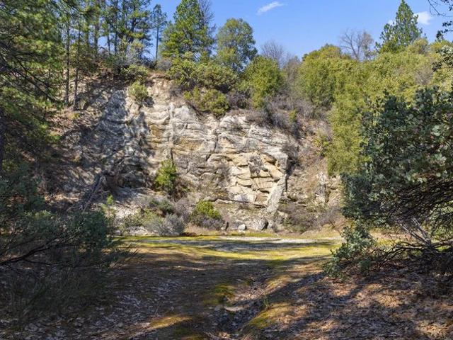 15528 CA 49, Camptonville, CA 95922