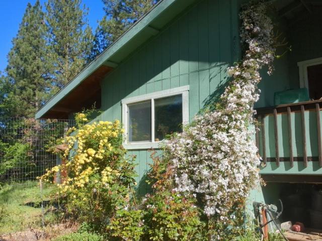15528 Highway 49, Camptonville, CA 95922 | MLS #226046