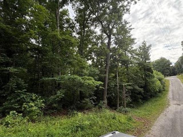 15530 Birdsong Rd, Holladay, TN 38341