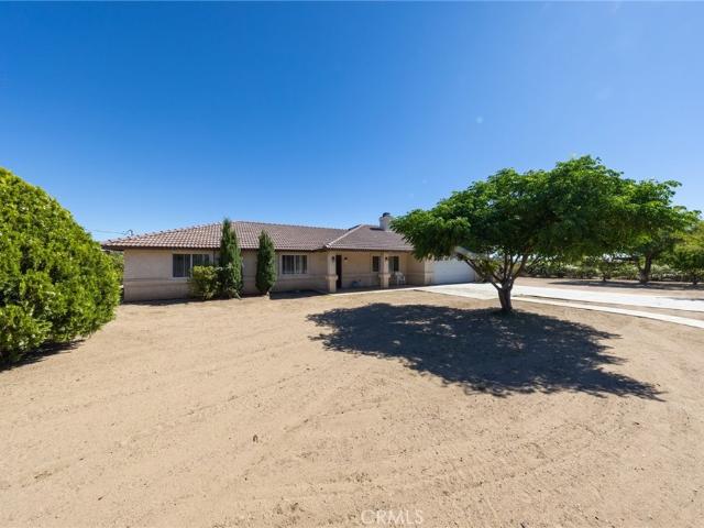 15532 Larch