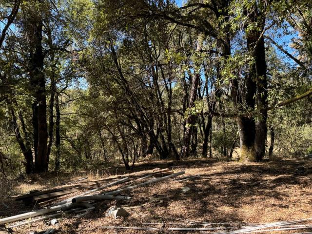 15539 Norvin Way, Grass Valley, CA 95949 | MLS #225096