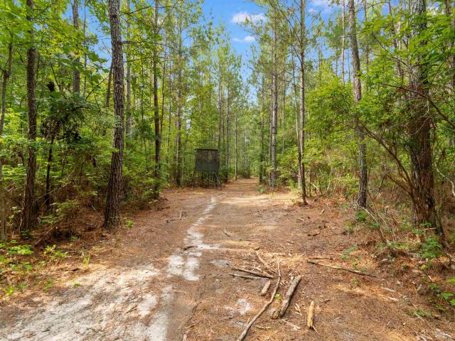155.81 Acres Roper Woods Rd