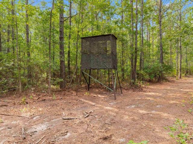 155.81 Acres Roper Woods Rd, Lake City, SC 29560