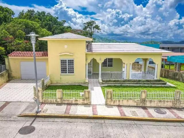 155 Calle Tous Bo Pueblo, San Lorenzo, PR 00754 MLS PR9107018