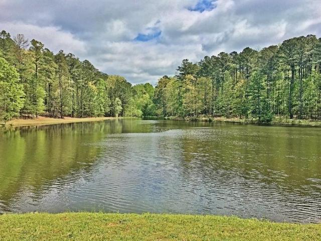 155 Canal Pl, Fayetteville, GA 30215 | MLS #7710 | Compass