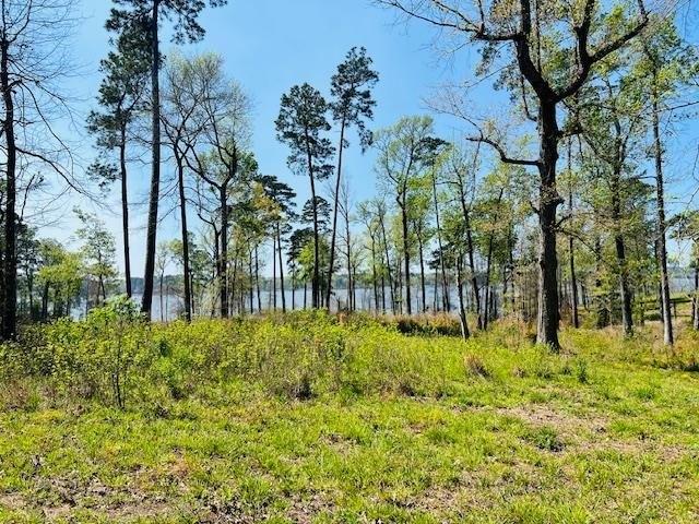155 Crowell Ln, Milam, TX 75959