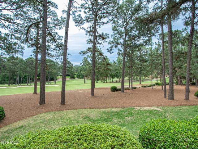 155 Brookhaven Road