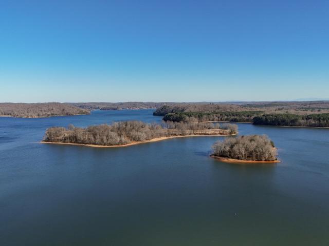 155 Dogwood Ln