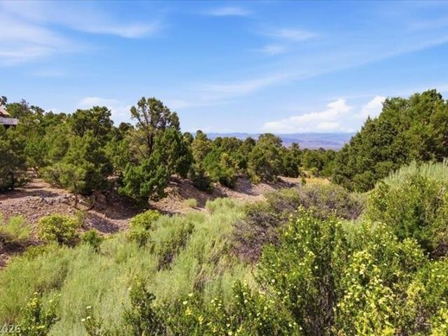 155 Oak Trail Cir, Cold Creek, NV 89124