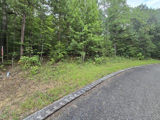 155 Lower Brow Rd, Dunlap, TN 37327
