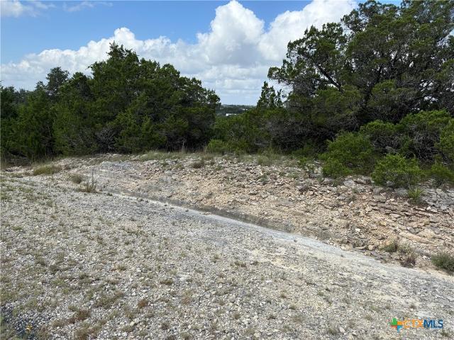 155 lipizzan lane