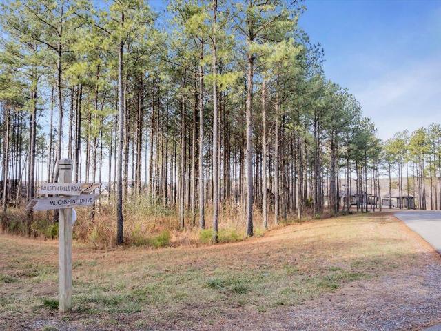 155 Moonshine Drive