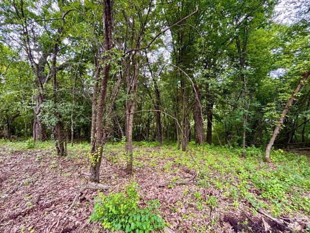 155 S Brandybrook Rd