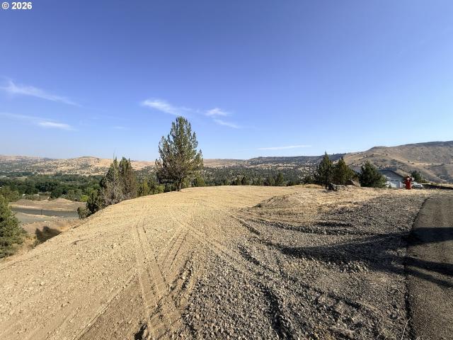 155 se lupine ln