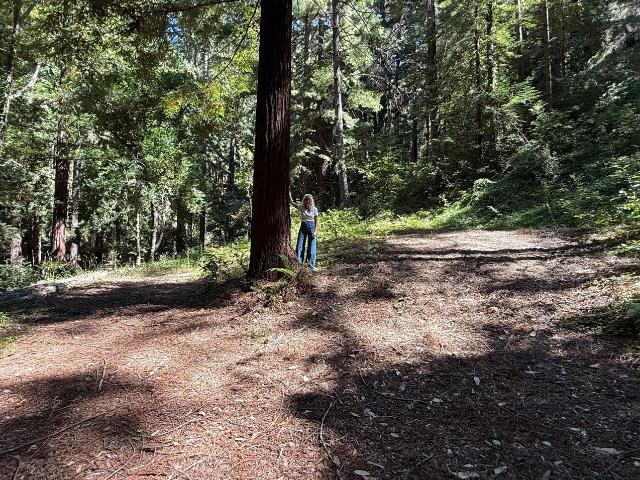 15645 Stetson Road, Los Gatos, US, CA
