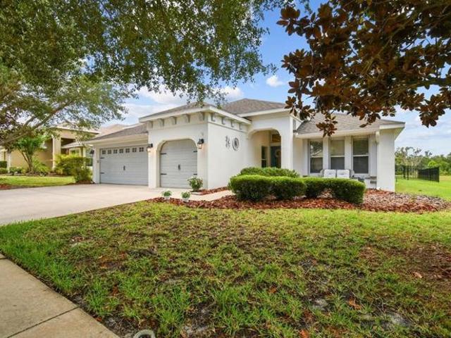 15651 Starling Water Dr, Lithia, FL 33547
