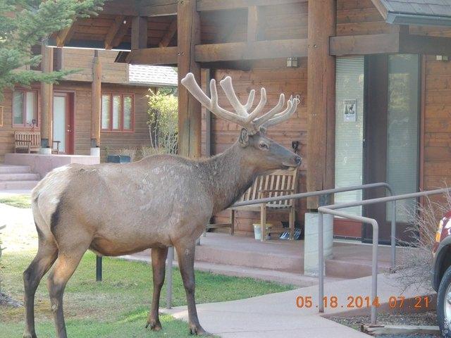 1565 Highway 66 Unit 49, Estes Park, CO 80517