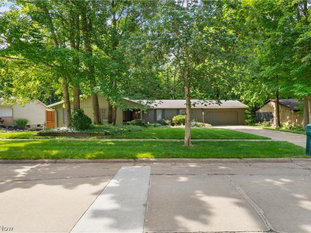 1565 Willoughby Drive