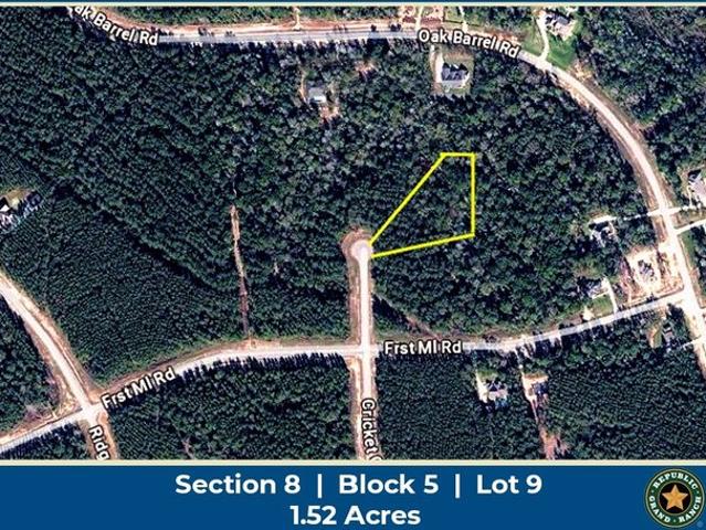 15660 Cricket Creek Ct, Willis, TX 77378