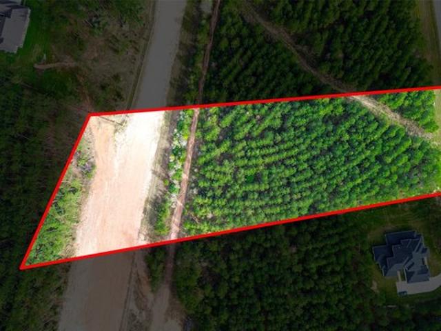 15661 Wood Grove Way, Willis, TX 77378