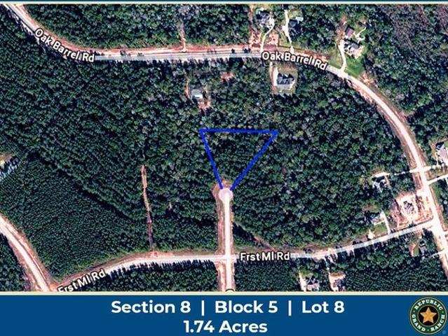 15668 Cricket Creek Ct, Willis, TX 77378