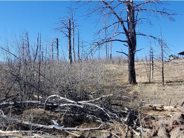 1566 Cary Ln, Fort Garland, CO 81133 | MLS #1921