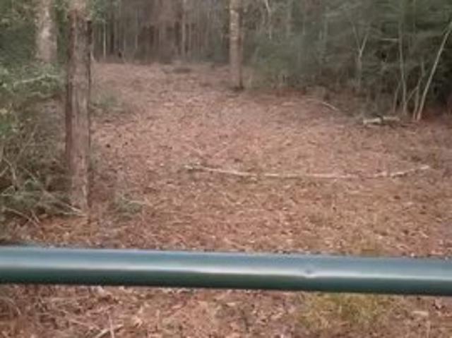 15671 TX 87, Kirbyville, TX 75956
