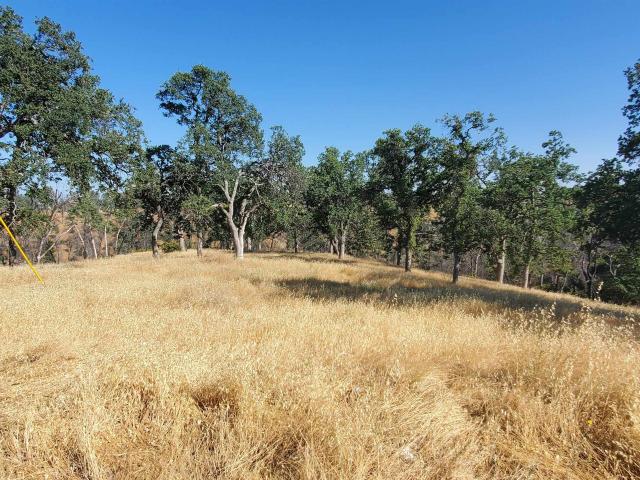 15687 Stagecoach Road