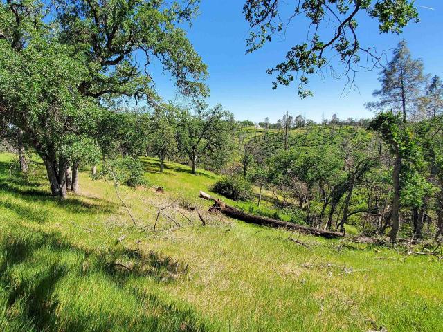 15687 Stagecoach Road