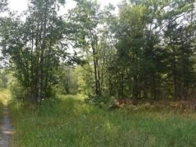 15690 th St, McGregor, MN 55760