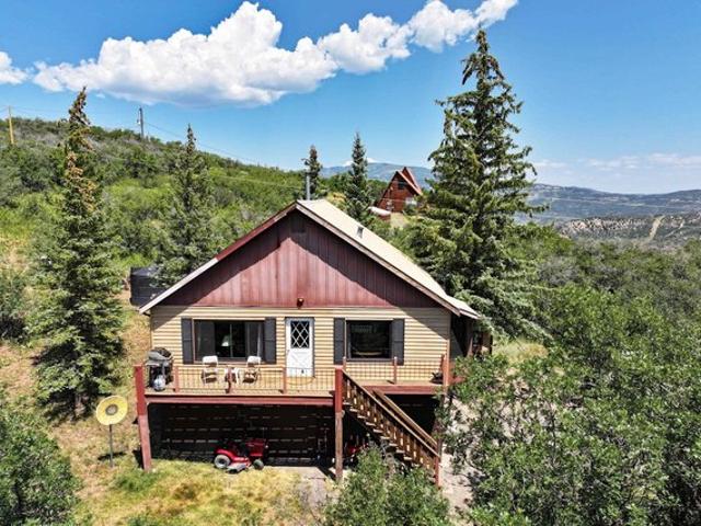 15699 Aspen Glen Ln, Collbran, CO 81624