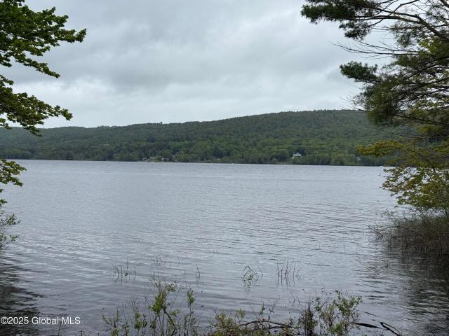 1569 S Shore Rd, Hadley, NY 12835 | MLS #202612