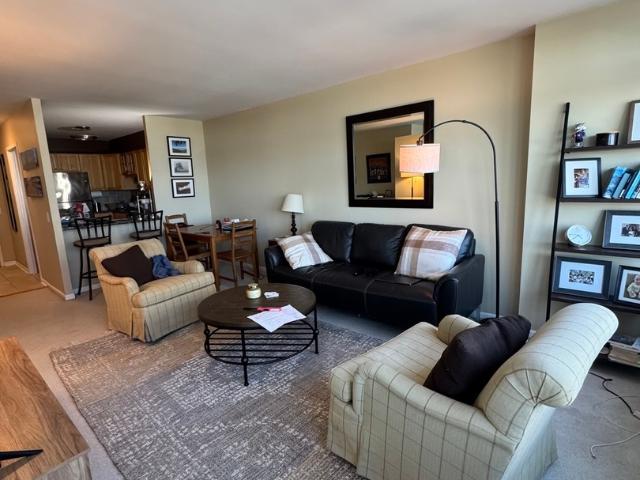 1560 N Sandburg Terrace # 1505