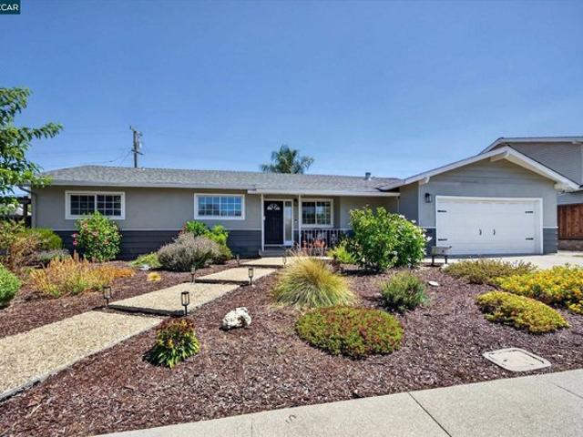 1560 American Beauty Dr, Concord, CA 94521
