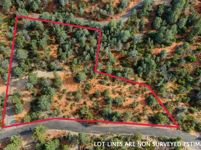 1561 cline road #