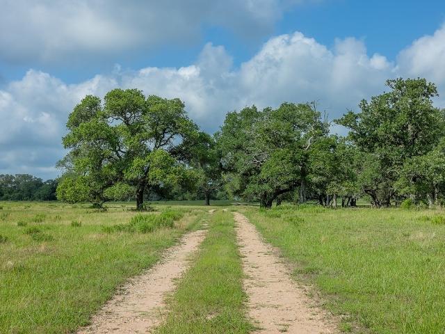 1561 County Road 154