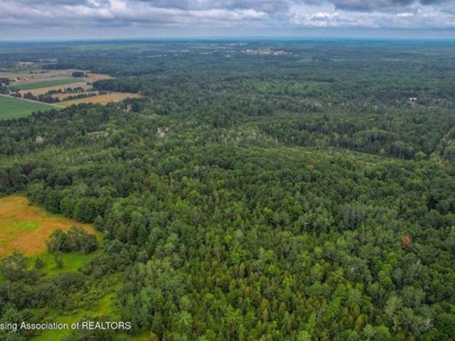 1561 22 Mile Rd, Barryton, MI 49305